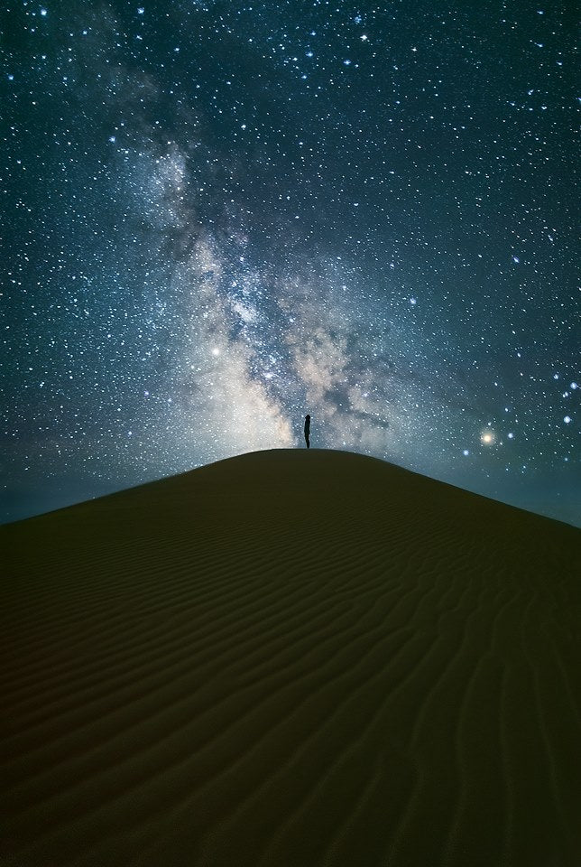 Desert Captive – Paul Zizka Photography